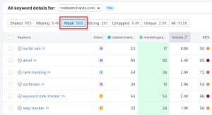 How To Use Semrush For Keyword Research (Including Template)